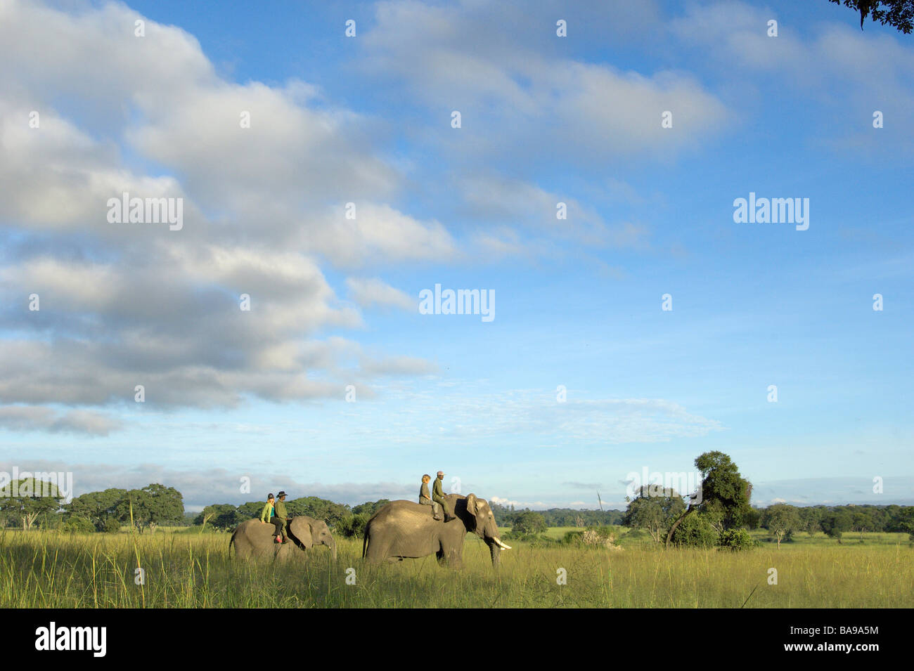 High ride comfort hi-res stock photography and images - Alamy