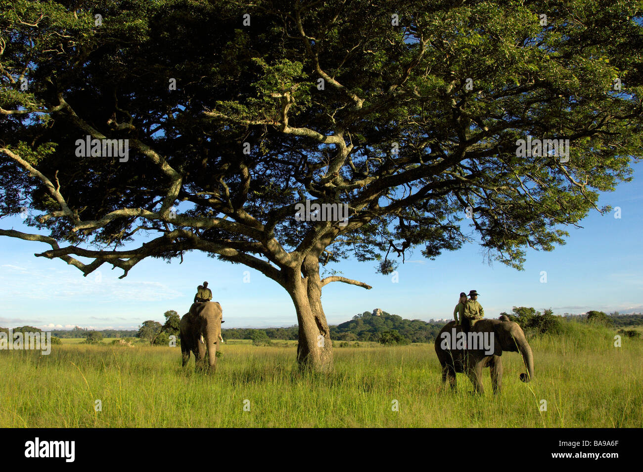 World class ride hi-res stock photography and images - Alamy