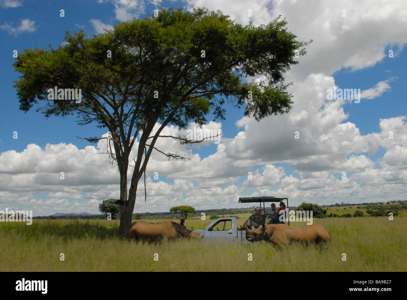 Safari ranch hi-res stock photography and images - Alamy