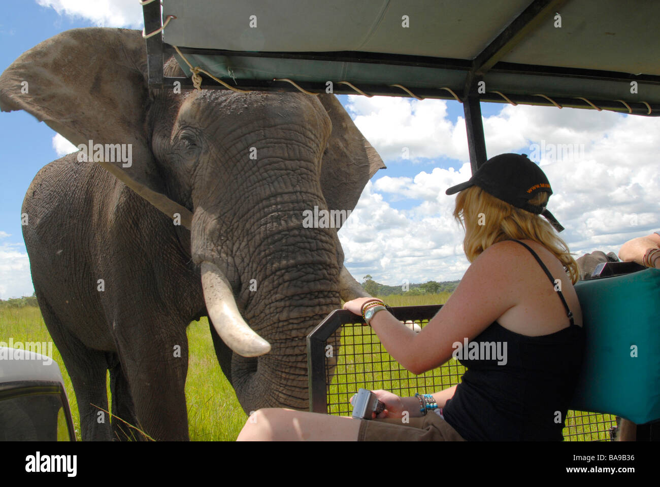 Safari vehicle close to elephant hi-res stock photography and images ...