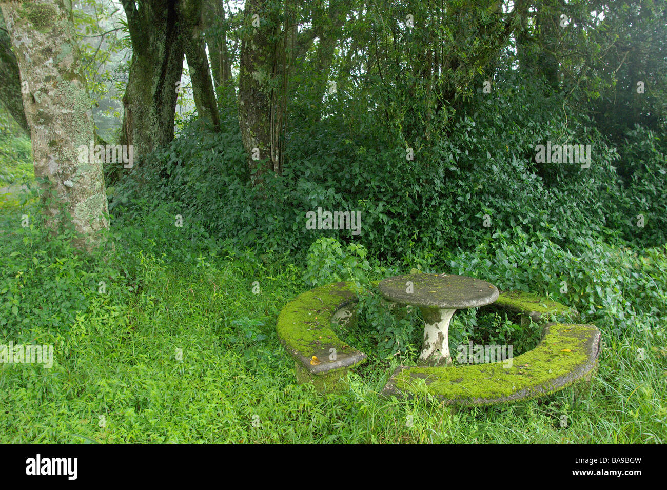 Zimbabwe Eastern Highlands Bvumba Nyanga Chimanimani hills mountains ...