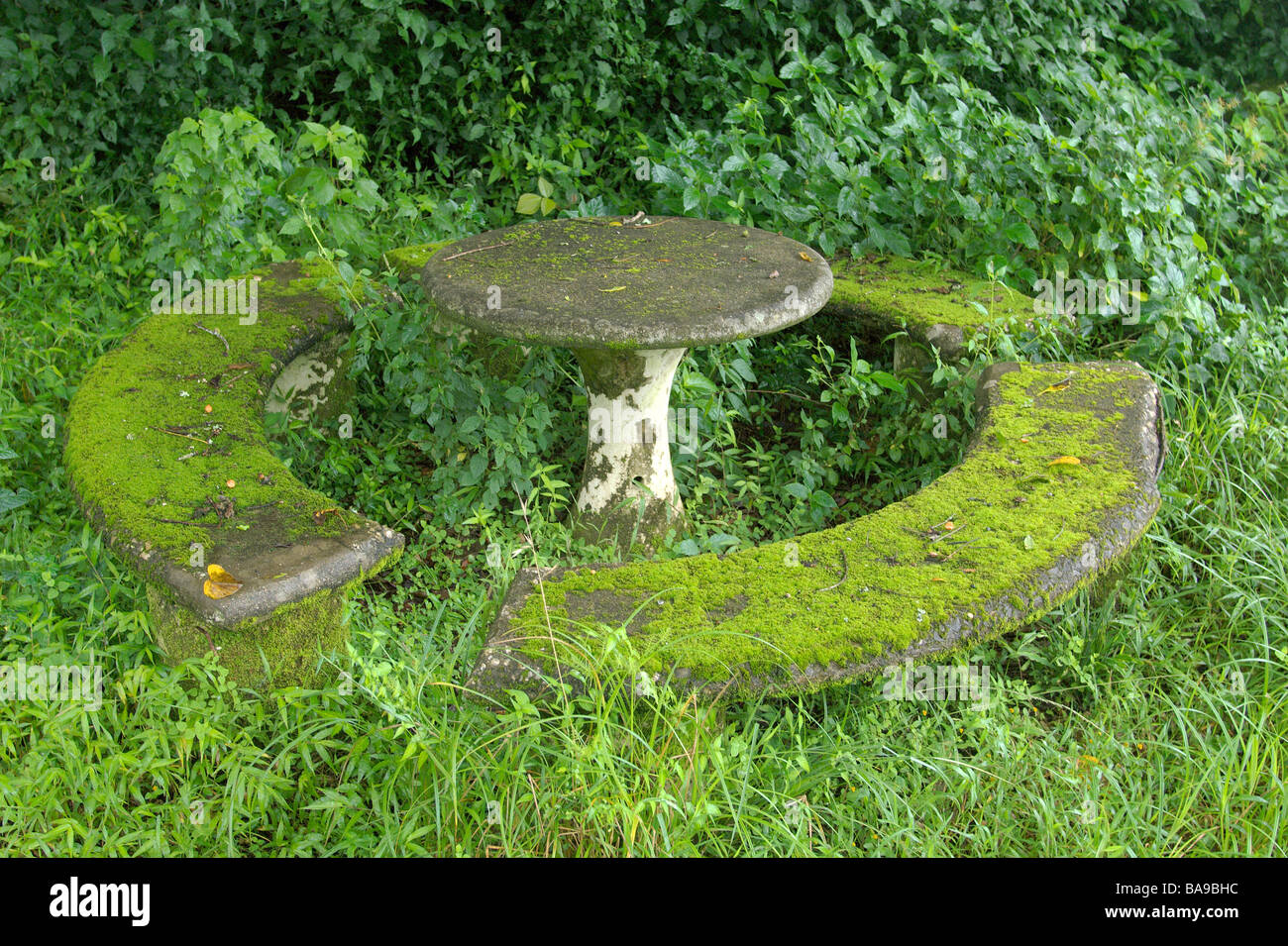 Zimbabwe Eastern Highlands Bvumba Nyanga Chimanimani hills mountains ...