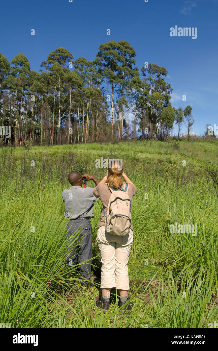 A tourist is taken on a guided bird walk in Zimbabwe's Bvumba Mountains ...