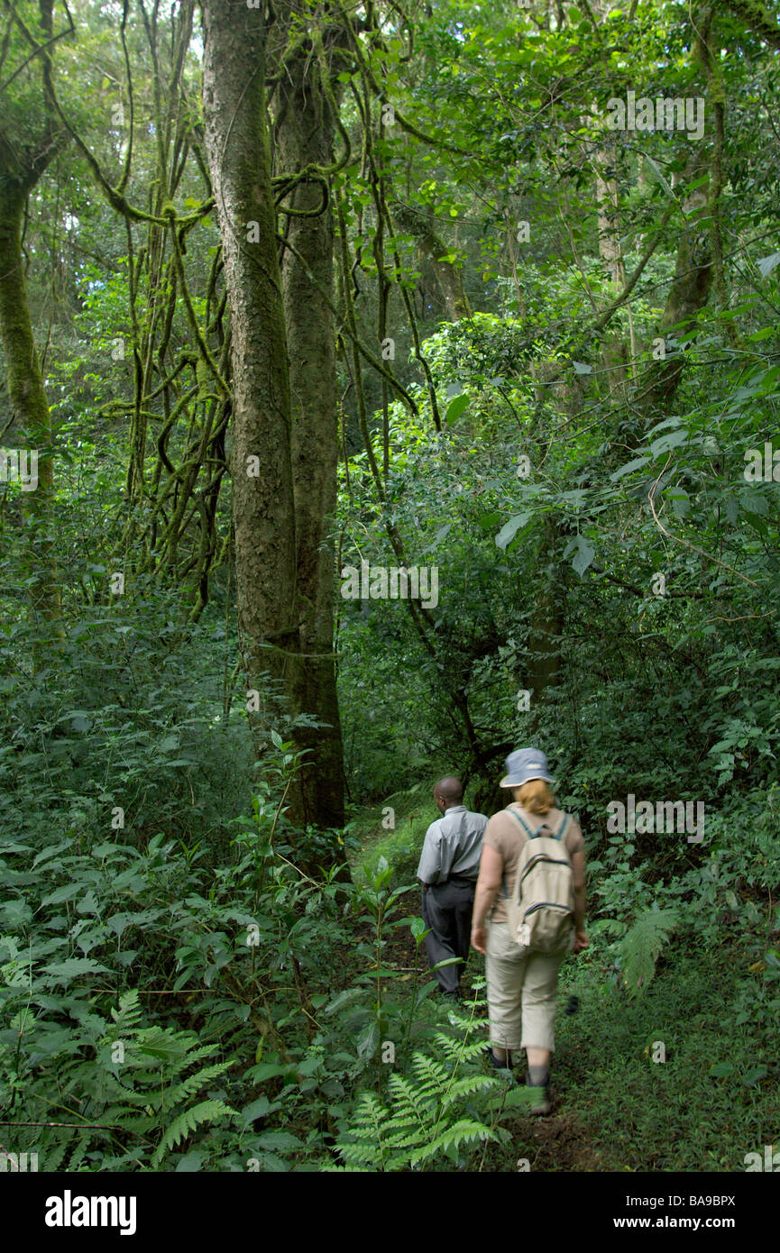 A tourist is taken on a guided bird walk in Zimbabwe's Bvumba Mountains ...