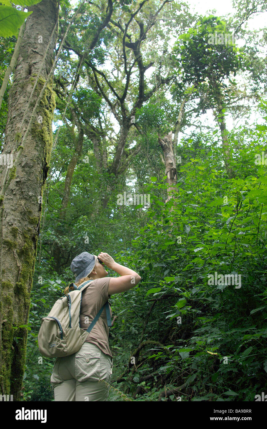 Bvumba mountains hi-res stock photography and images - Alamy