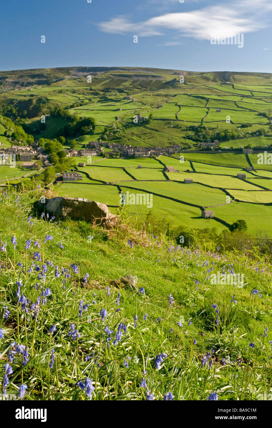 Bluebells on a Hillside above the Village of Gunnerside, Swaledale ...