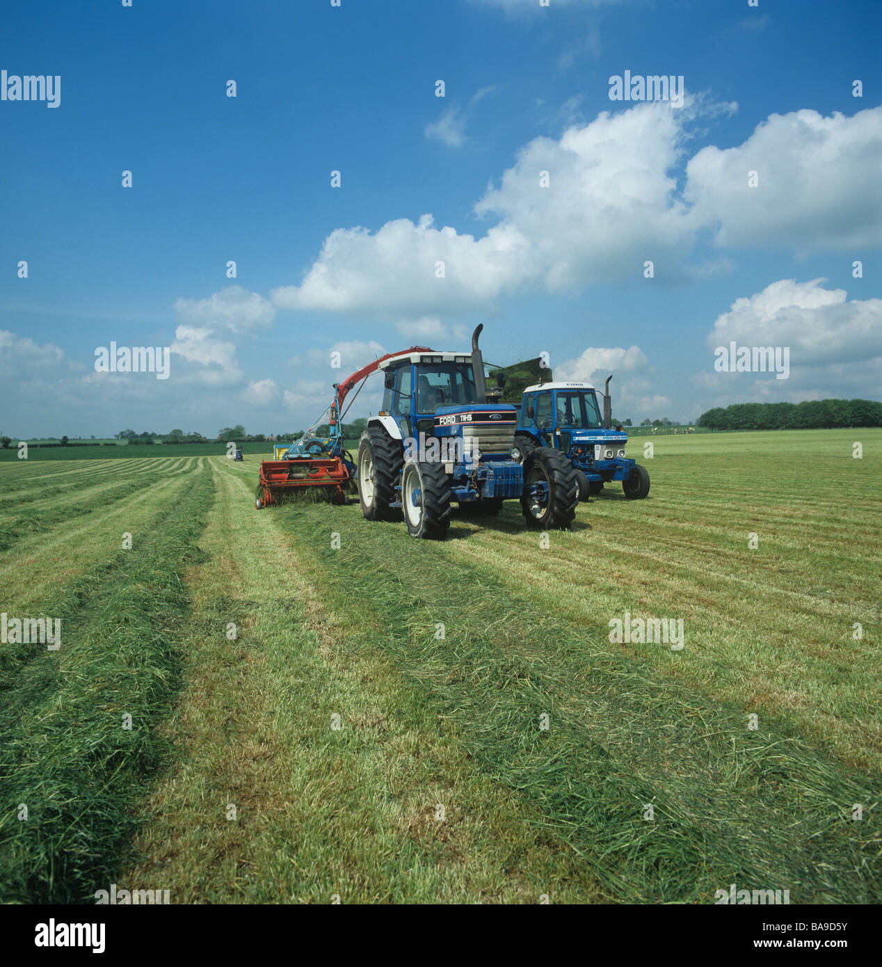 Tractor with Reco Mengele forager collecting cut ryegrass for silage ...