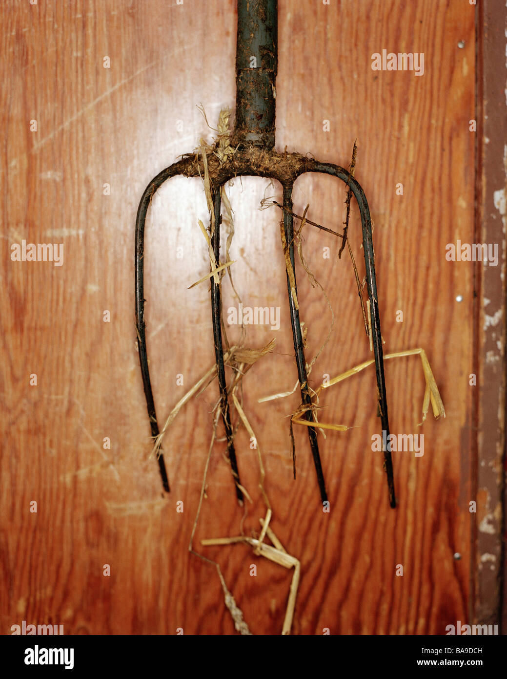 Manure fork hi-res stock photography and images - Alamy