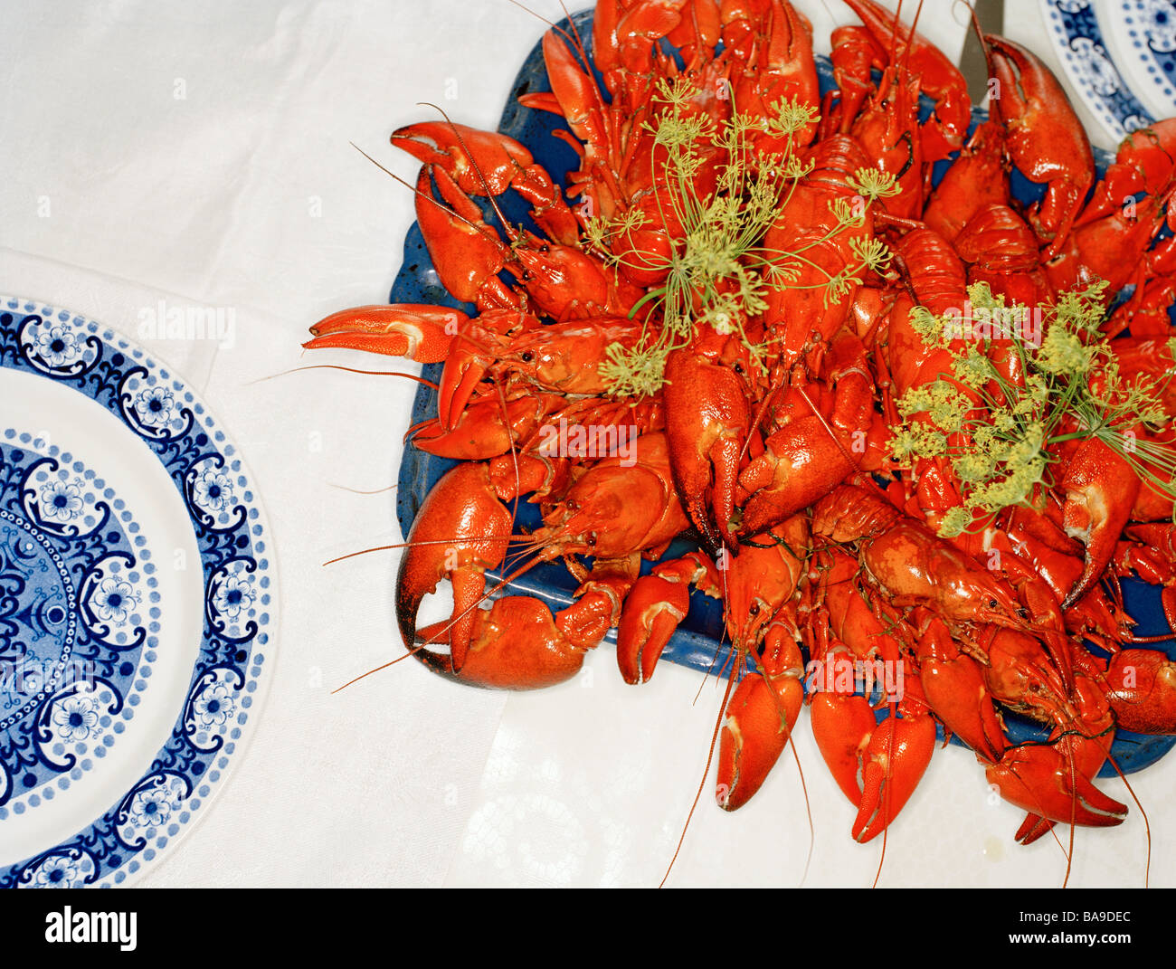 Crayfish colors hi-res stock photography and images - Alamy