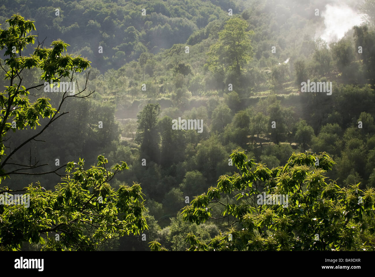photograph of brush fire smoke in hilly countryside Stock Photo - Alamy
