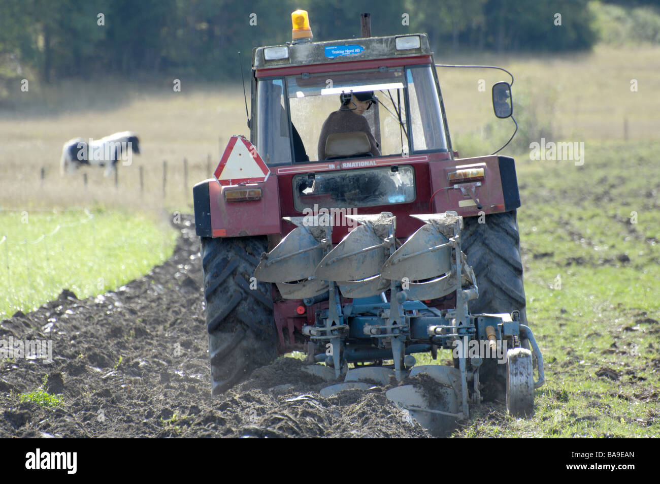 Peasants ploughing field hi-res stock photography and images - Alamy