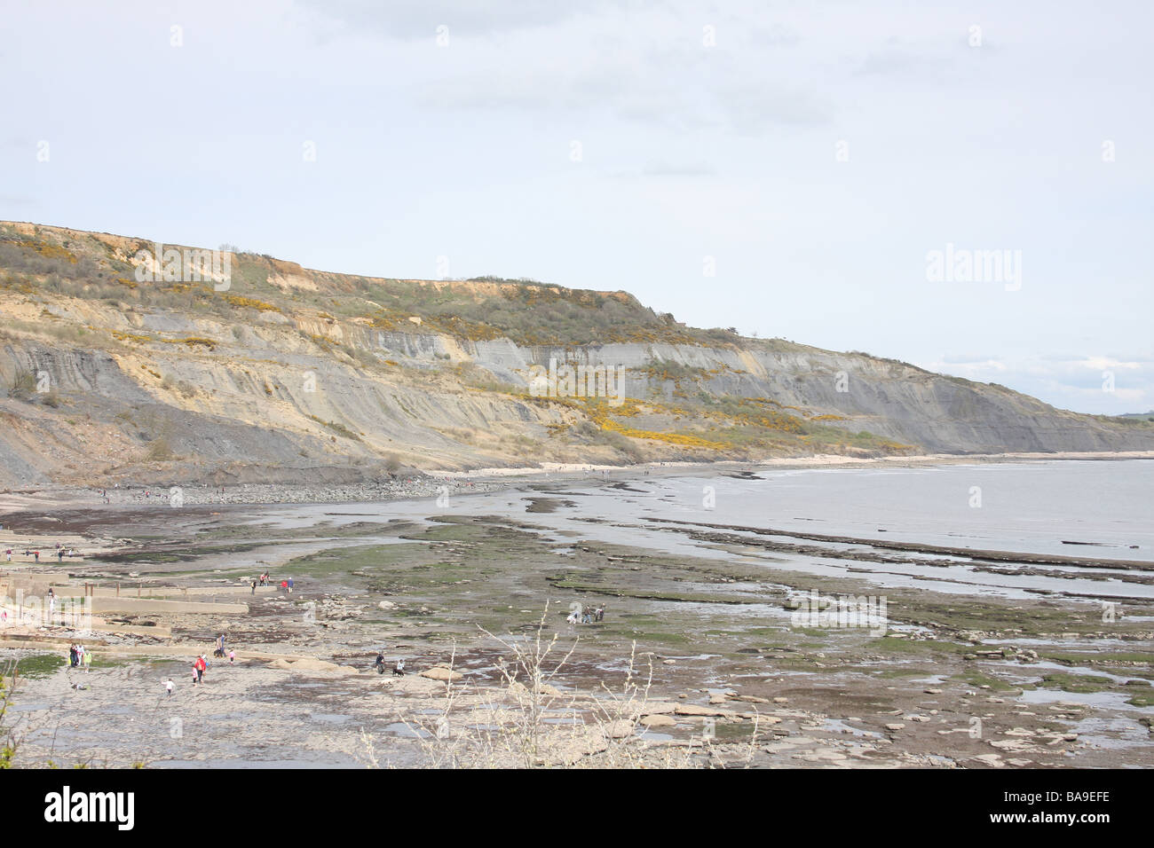 Lyme regis beach fossils hi-res stock photography and images - Alamy