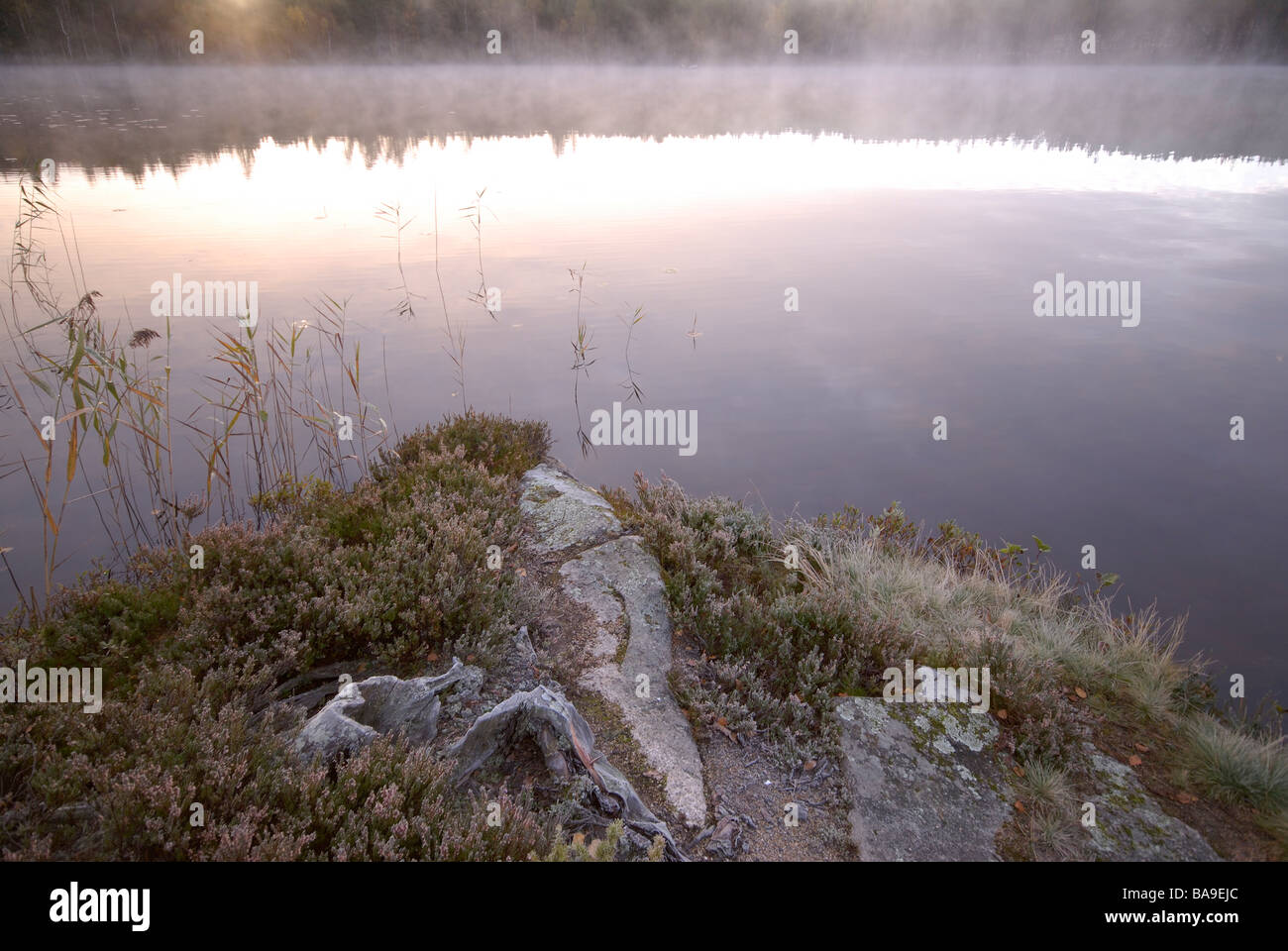 A small forest mere Smaland Sweden Stock Photo - Alamy