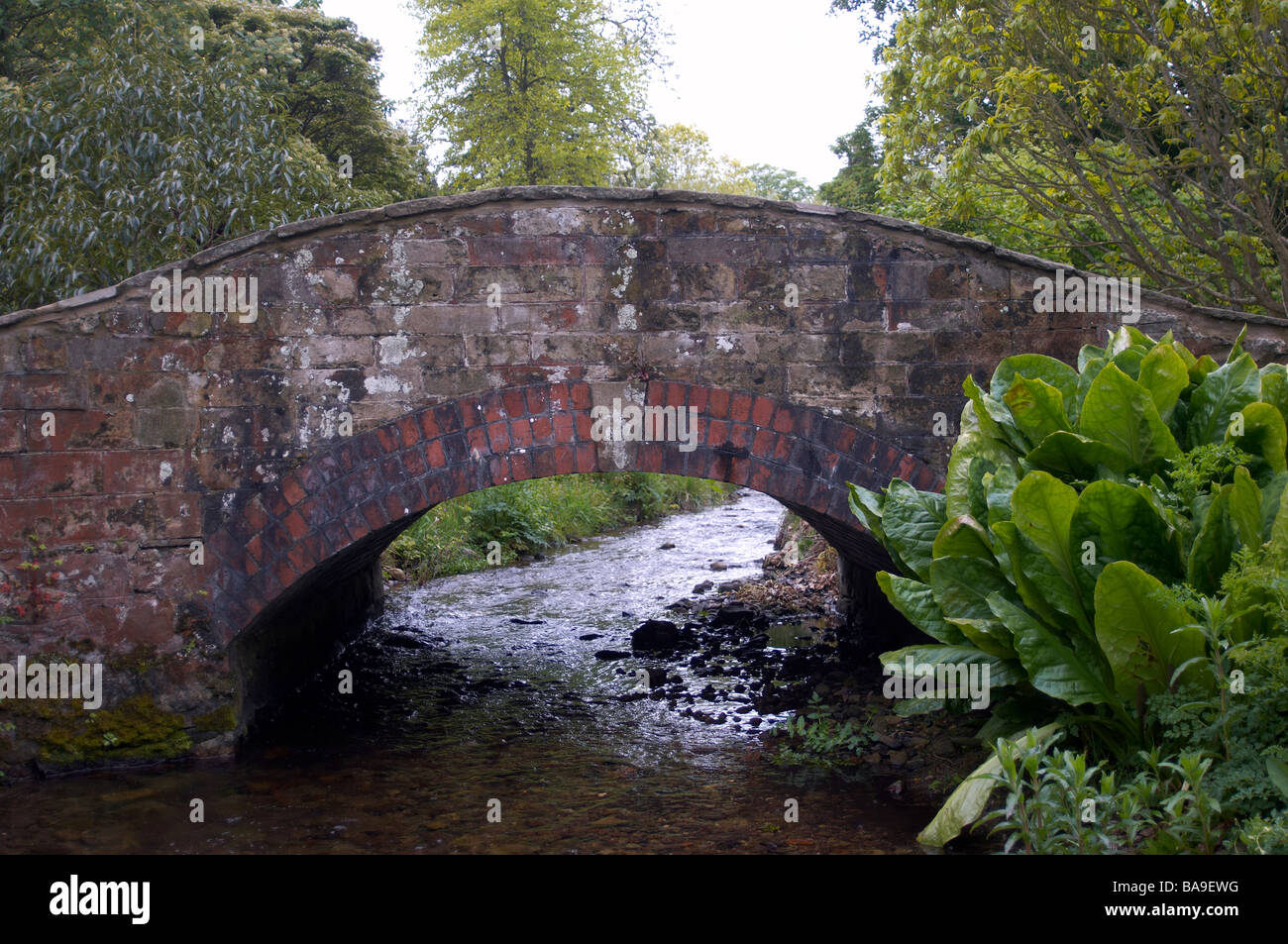 Bridge across a stream Stock Photo - Alamy