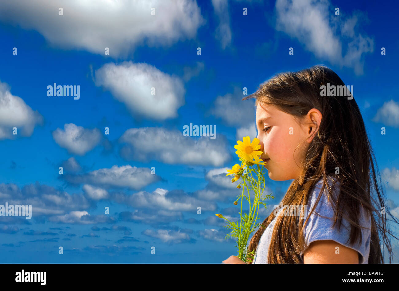 young girl smelling yellow wild flowers Stock Photo - Alamy