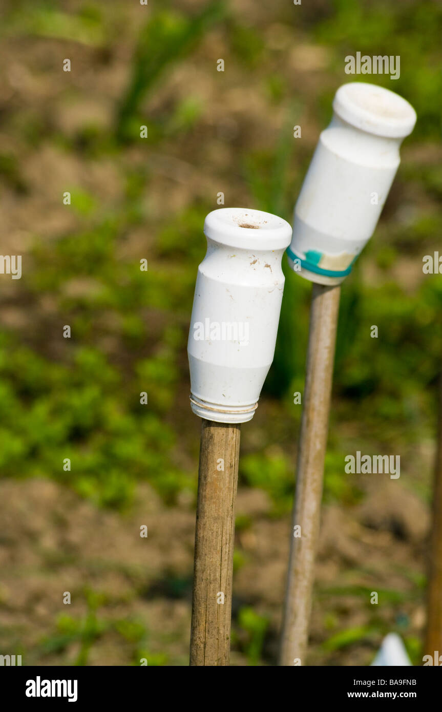 Cane cap garden hi-res stock photography and images - Alamy