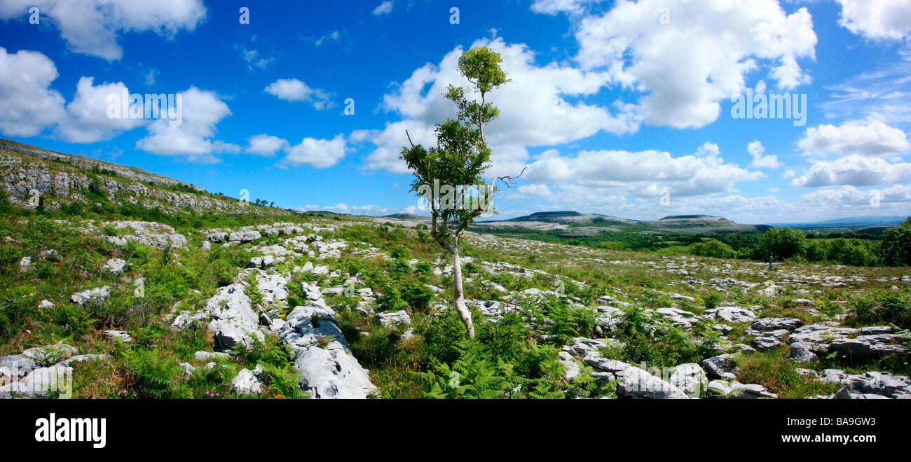 The Burren, County Clare, Ireland Stock Photo - Alamy