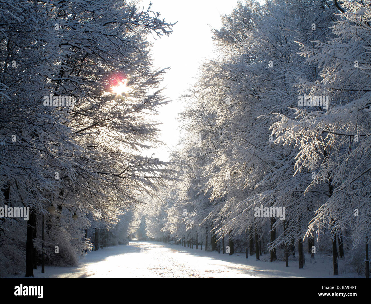 Berlin Tiergarten In Winter Snow Stock Photos & Berlin Tiergarten In ...