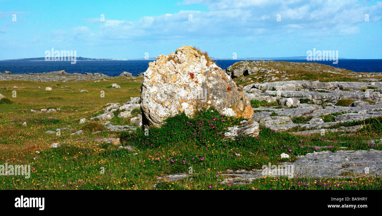 The Burren, County Clare, Ireland, near Fanore Stock Photo - Alamy