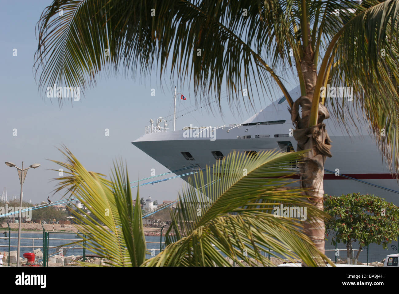 A cruise ship at a tropical port through the palm trees Stock Photo - Alamy