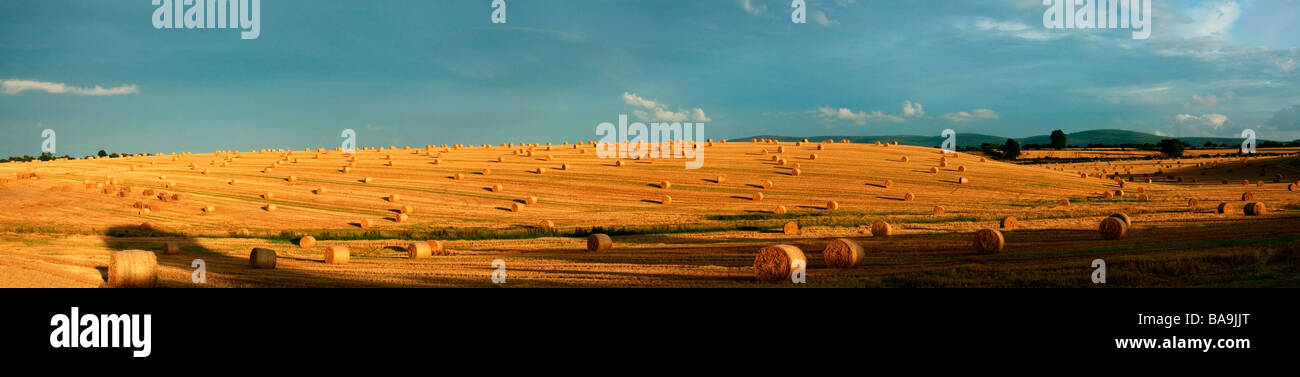County Cork, Ireland, Hay bales after the harvest Near Mallow Stock ...