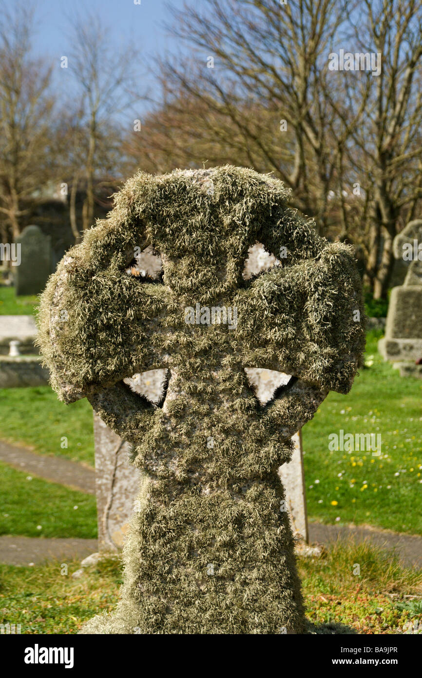 Graveyard moss hi-res stock photography and images - Alamy