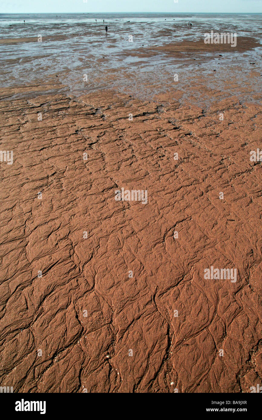Mud flats at Eighty Mile Beach in Western Australia Stock Photo - Alamy