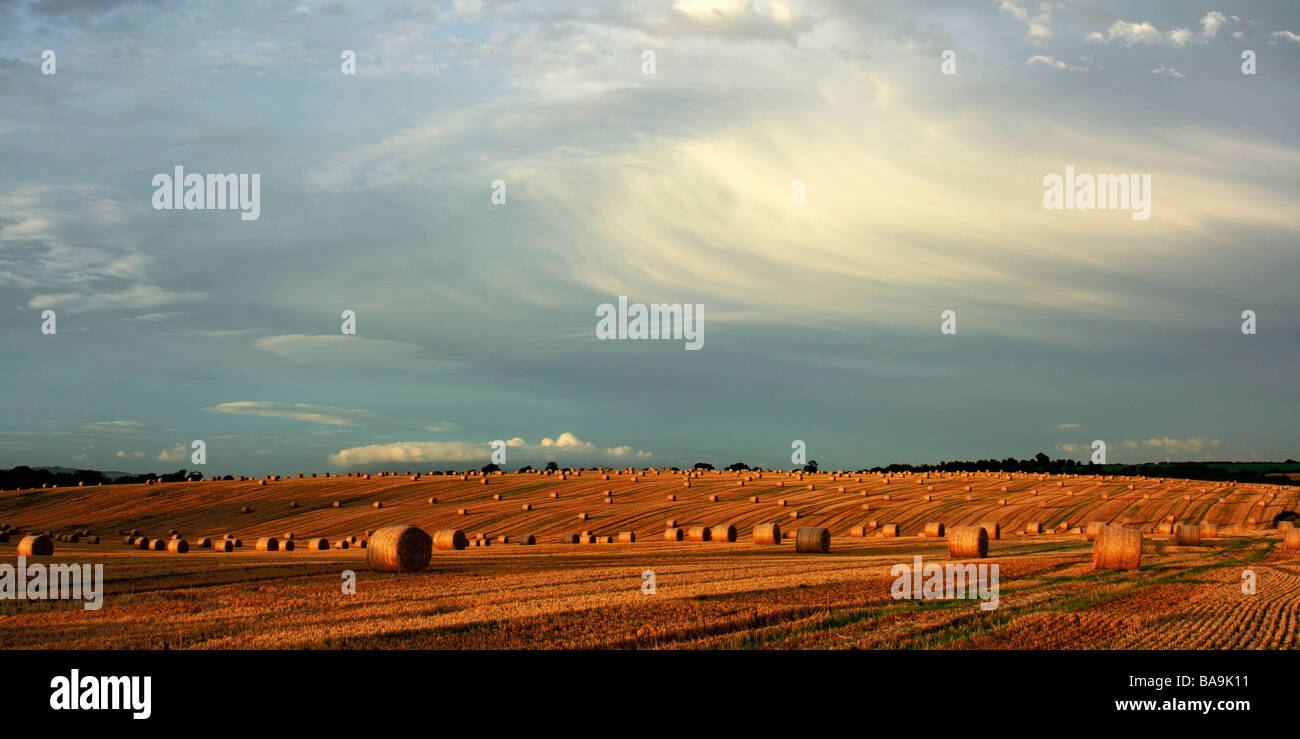 County Cork, Ireland, Hay bales after the harvest Near Mallow Stock ...