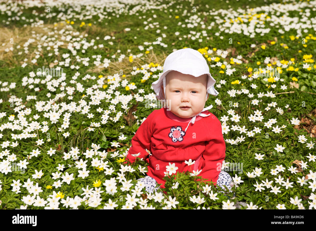 Baby in a field of flower child Stock Photo - Alamy