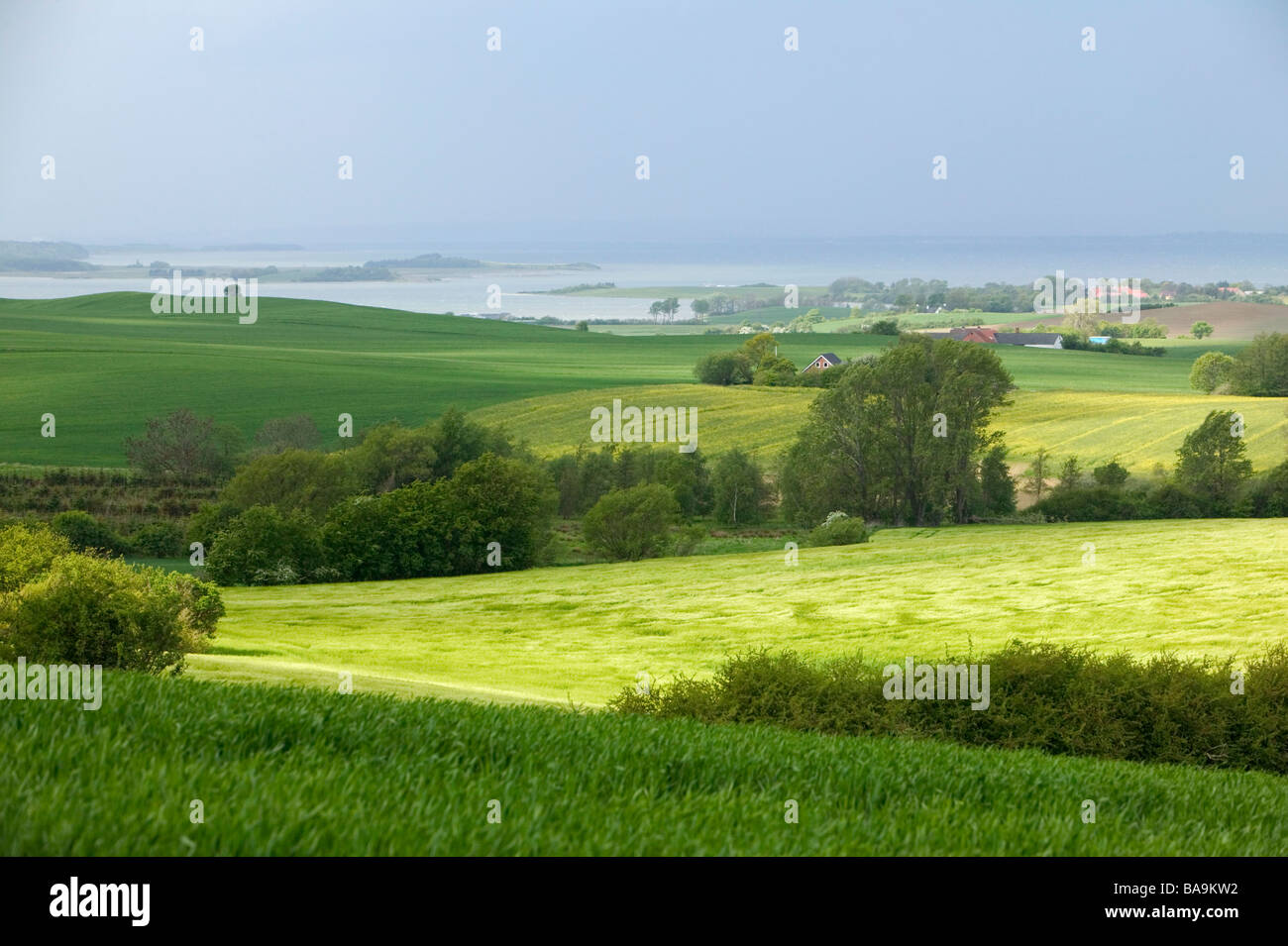 Agricultural landscape Jylland Denmark Stock Photo - Alamy