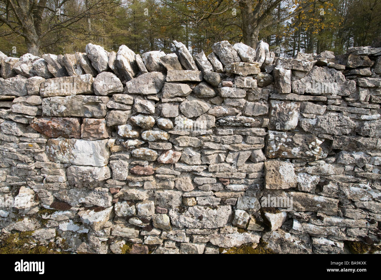 Close up of dry stone wall, showing later in filling, made from ...
