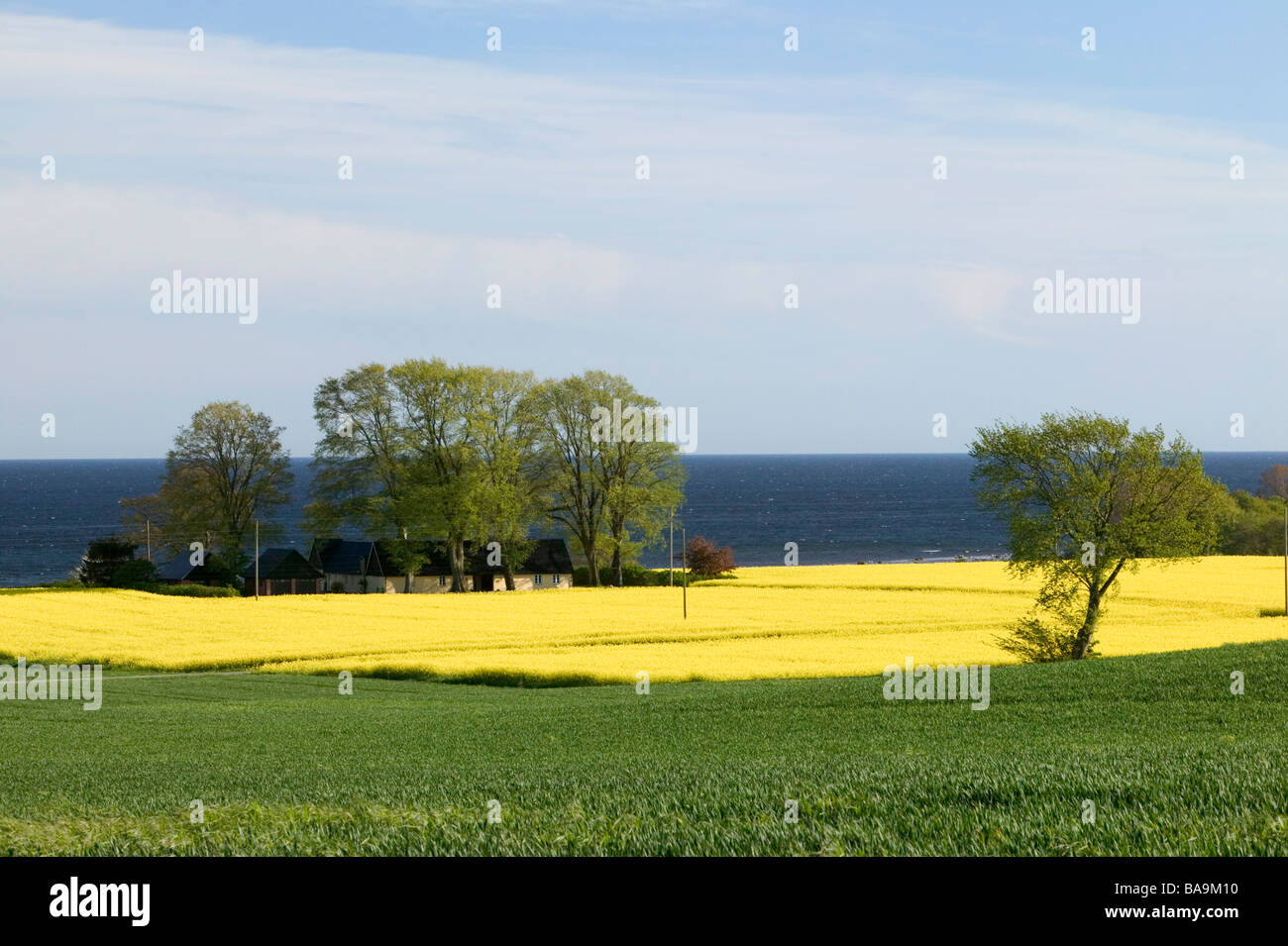 A farm in skane hi-res stock photography and images - Alamy