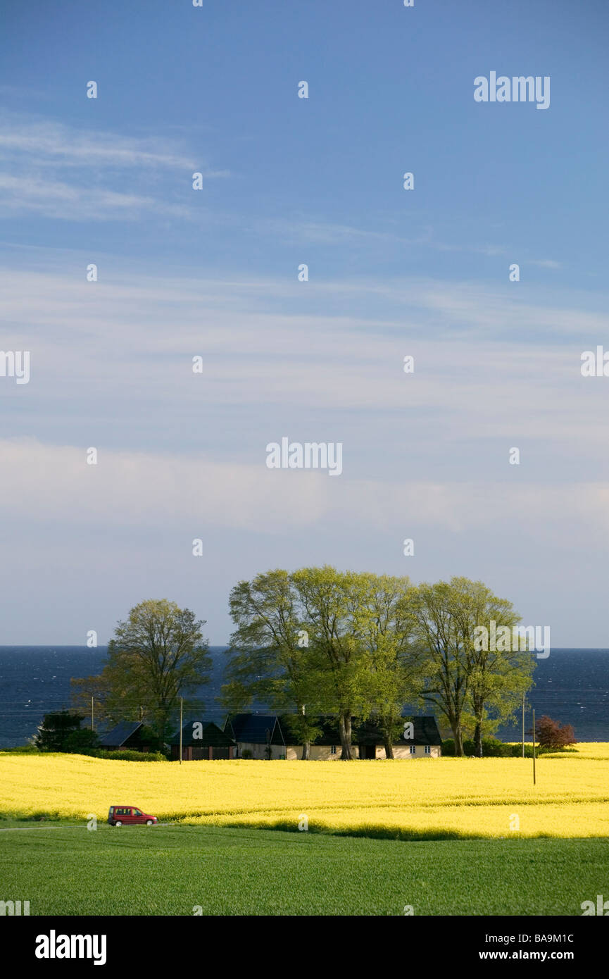 A farm in skane hi-res stock photography and images - Alamy