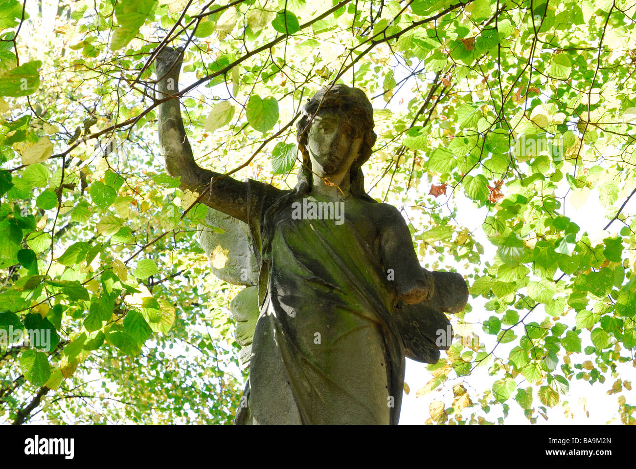 Stone angel in Brompton Cemetery London Stock Photo - Alamy