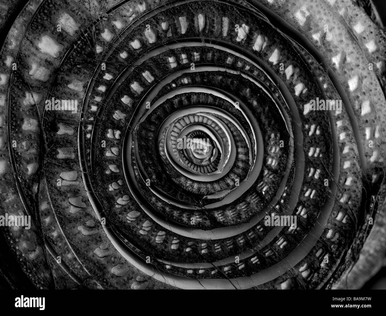 Circles patterns Black and White Stock Photos & Images - Alamy