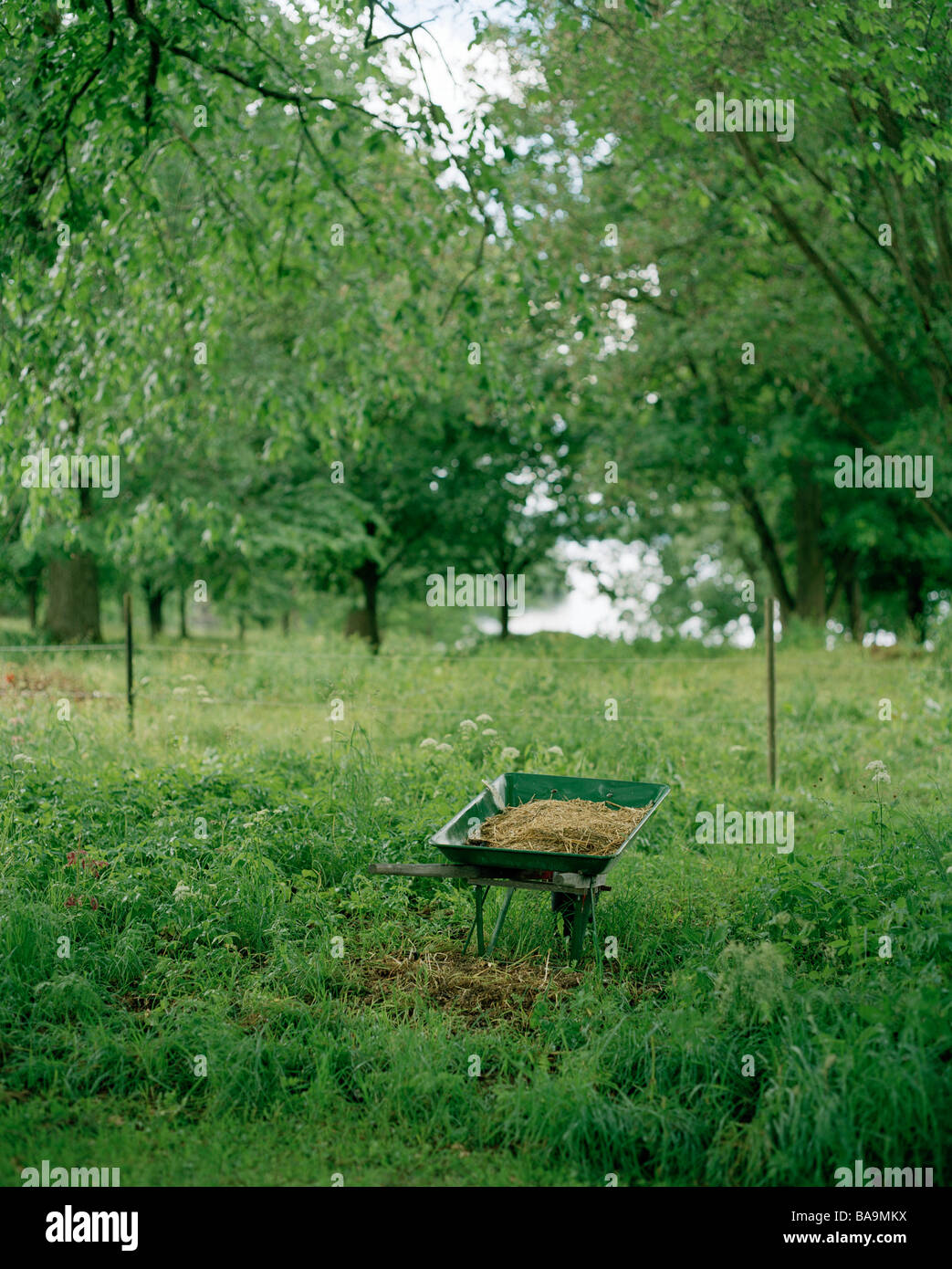 A wheelbarrow in a enclosed pasture, Smaland, Sweden Stock Photo - Alamy