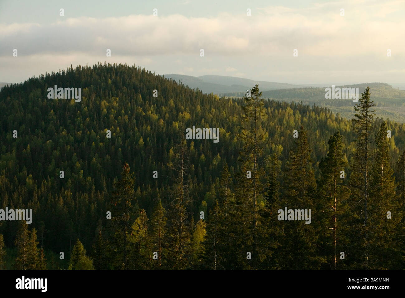 Sweden landscape hi-res stock photography and images - Alamy