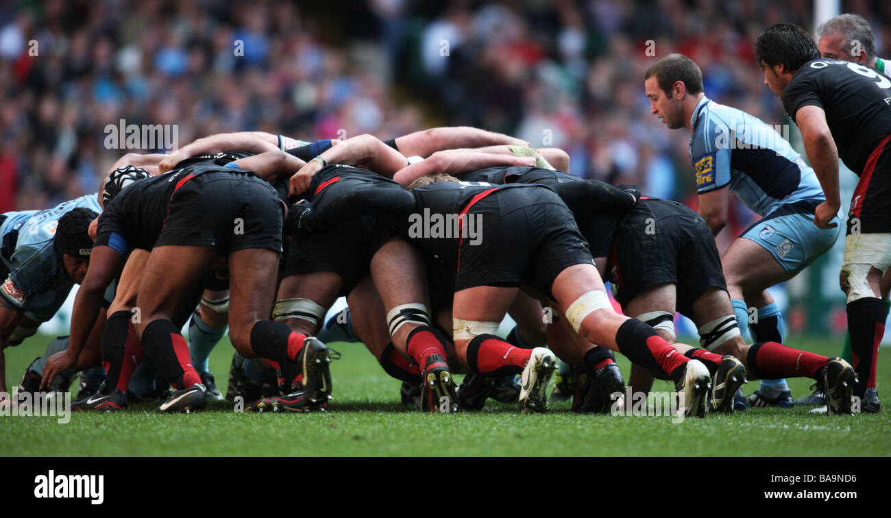 Harlequins hi-res stock photography and images - Alamy