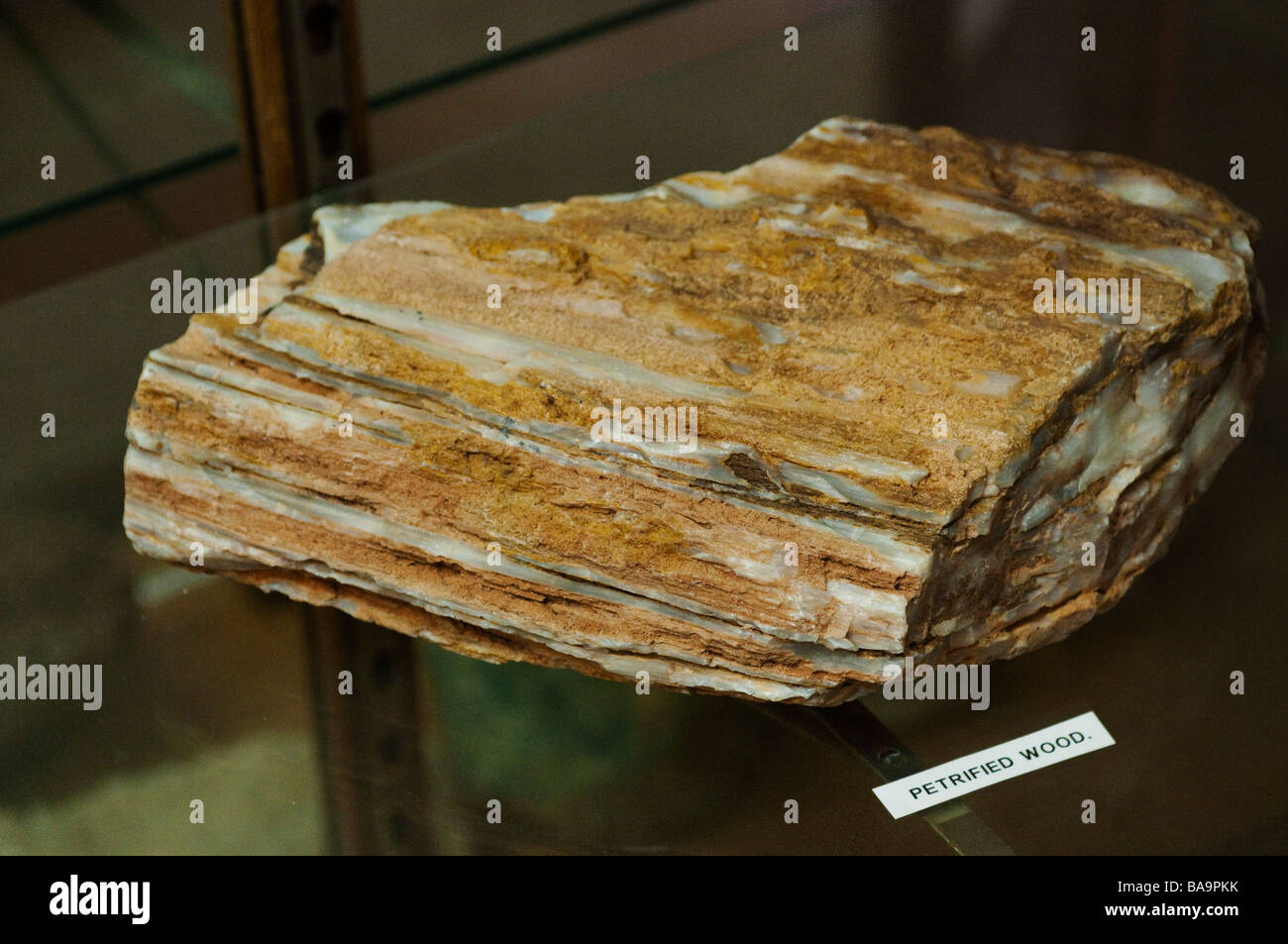 Petrified wood australia hi-res stock photography and images - Alamy