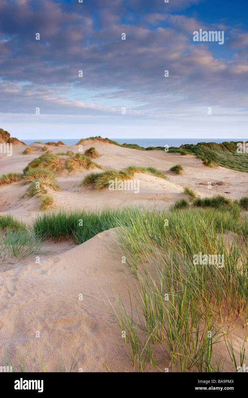 The Sand Dunes at Formby Point Merseyside England Great Britain Stock ...