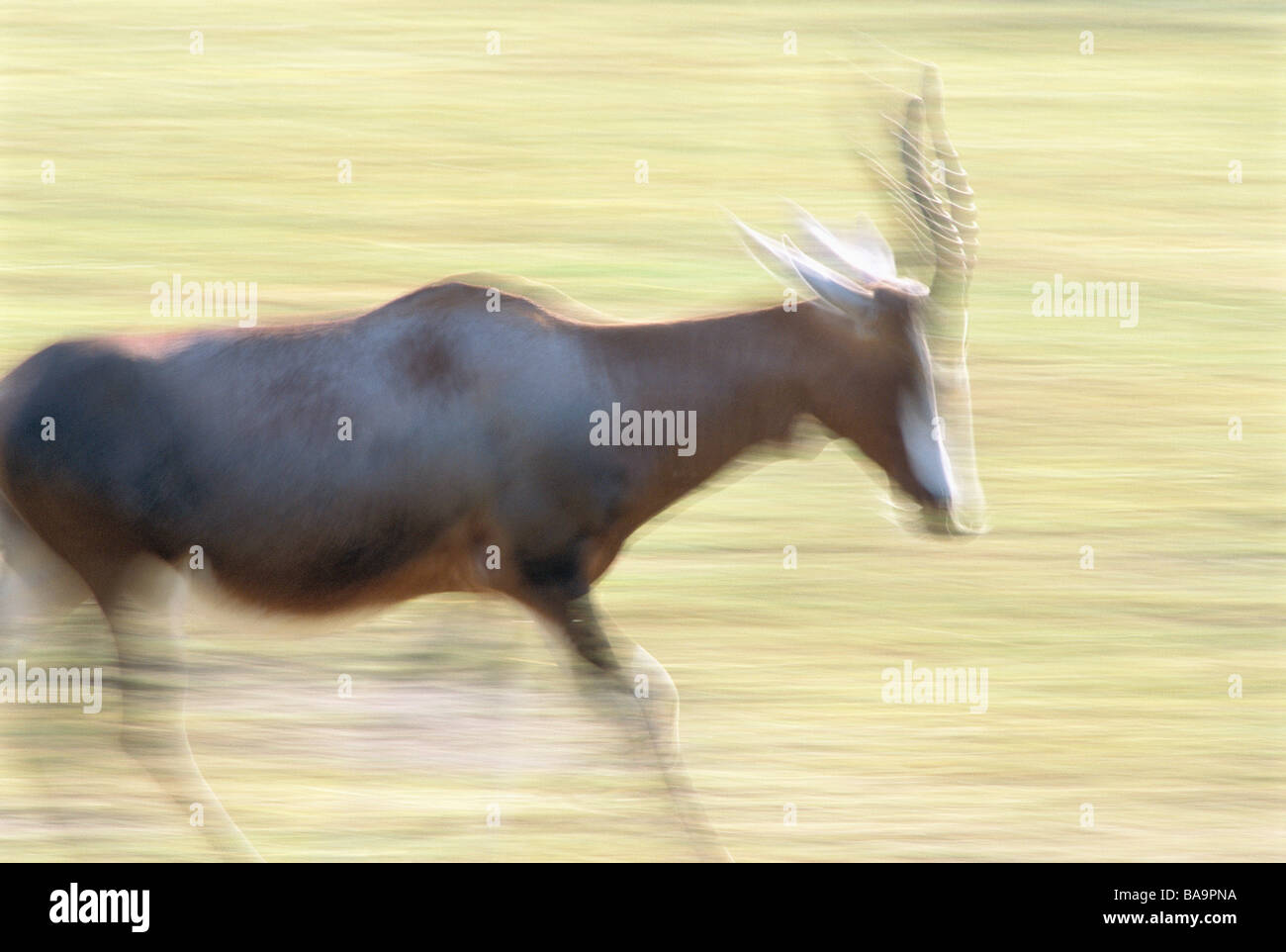 Animals at a zoo Kolmarden Sweden Stock Photo - Alamy