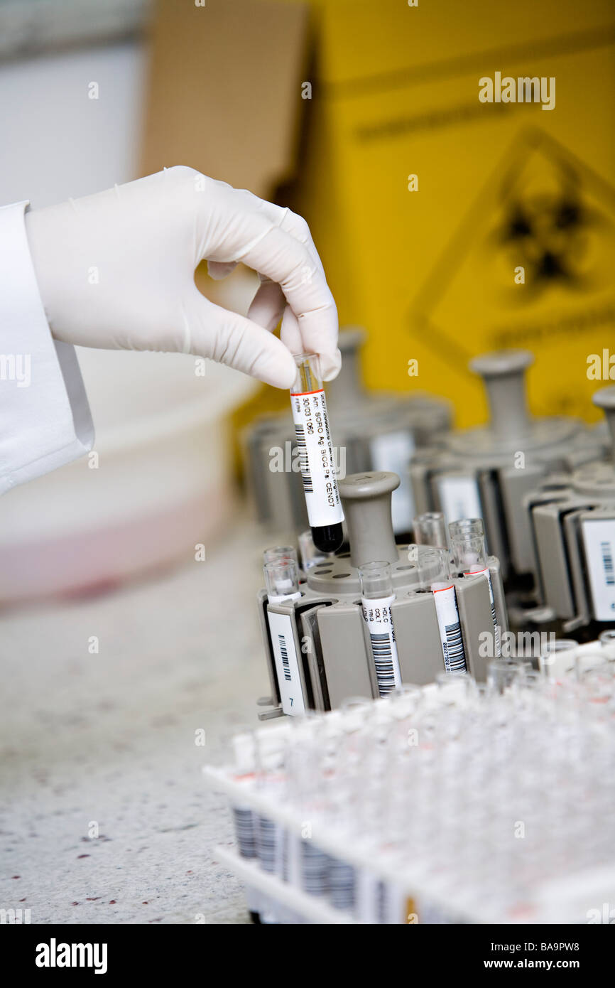 Human evolution laboratory hi-res stock photography and images - Alamy