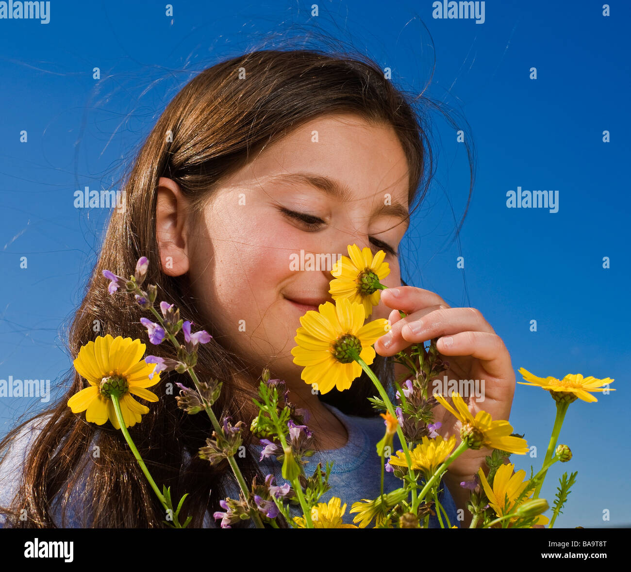 young girl smelling yellow wild flowers Stock Photo - Alamy