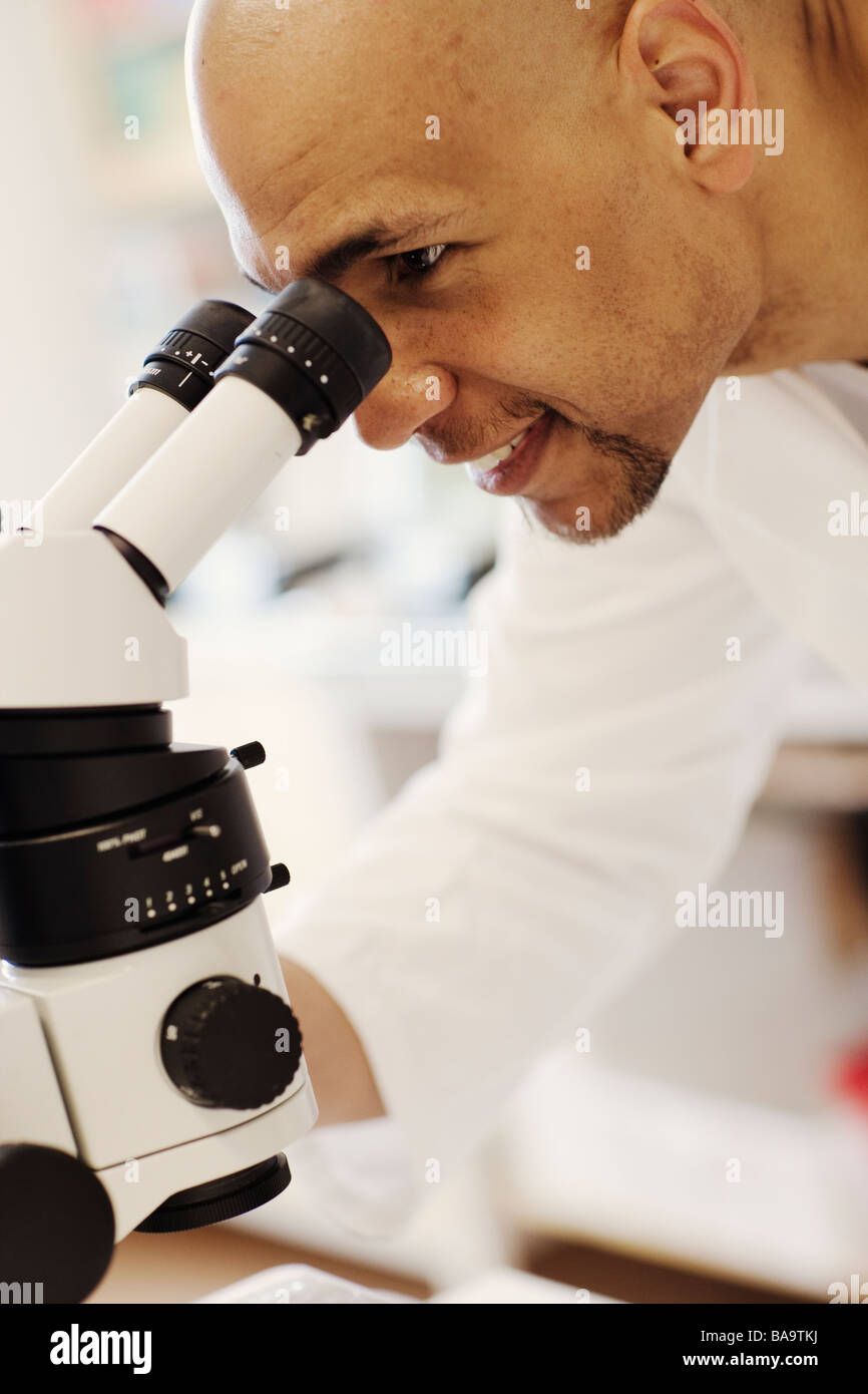 A male researcher in a laboratory, Sweden Stock Photo - Alamy