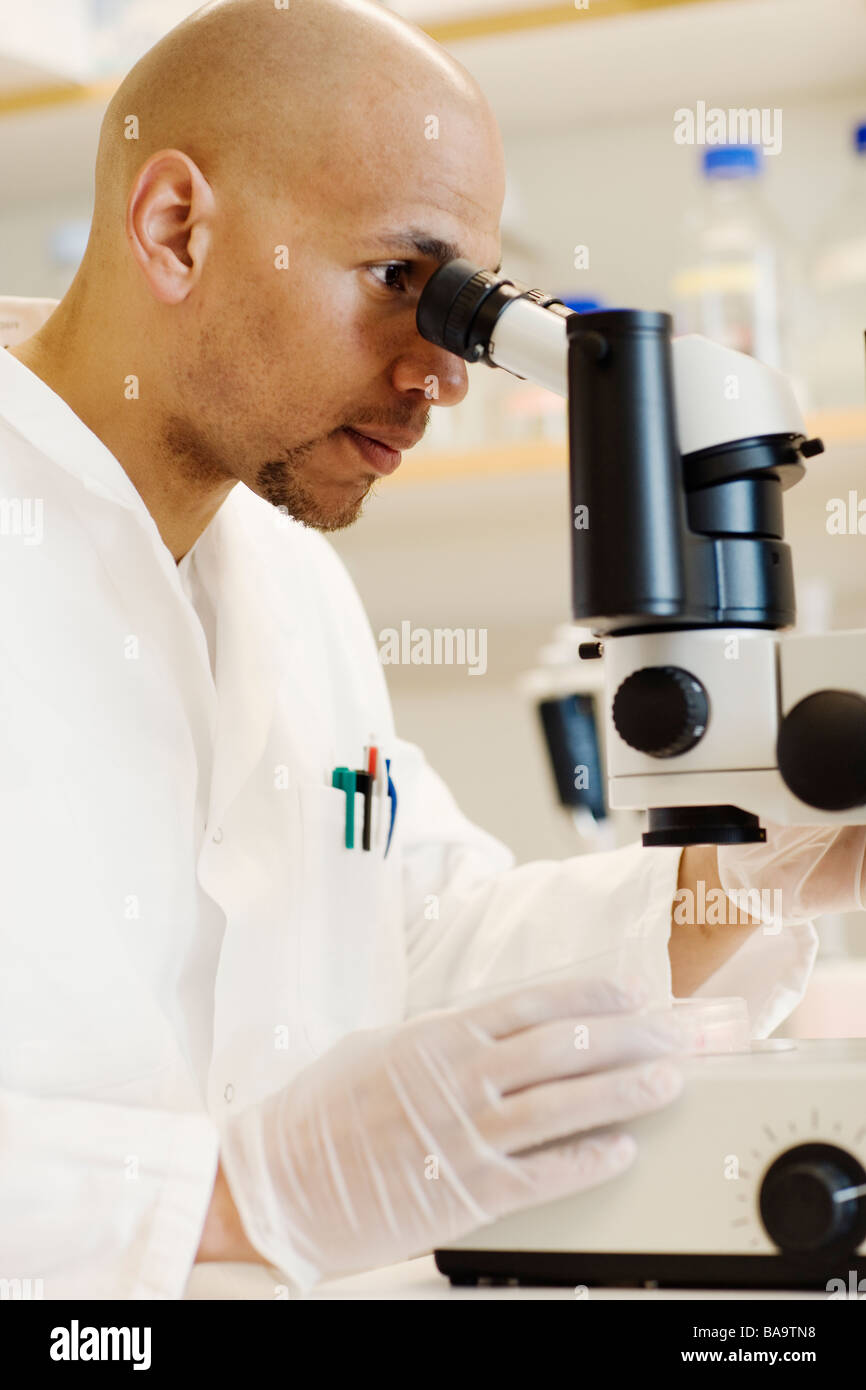 A male researcher in a laboratory, Sweden Stock Photo - Alamy