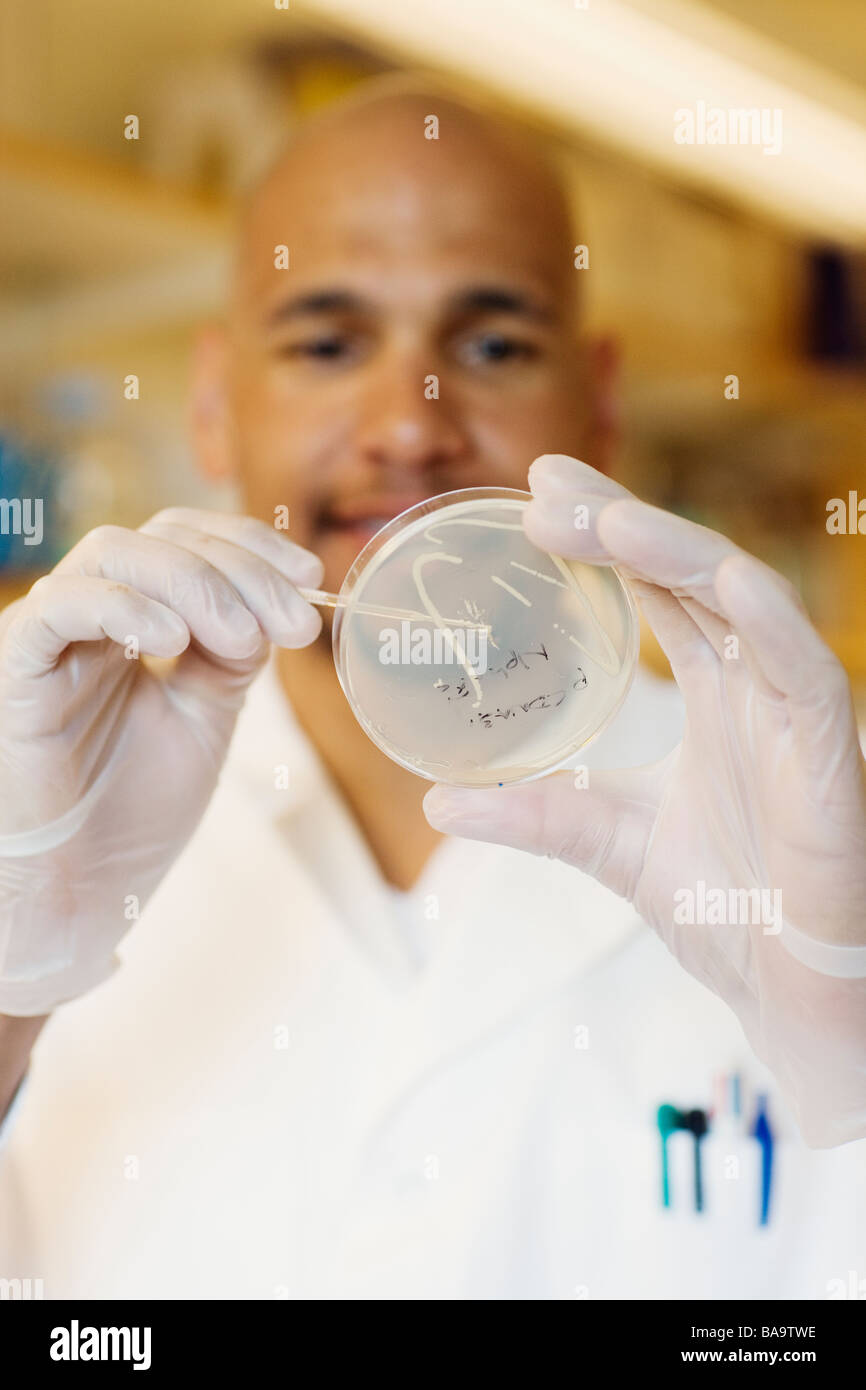 A male researcher in a laboratory, Sweden Stock Photo - Alamy