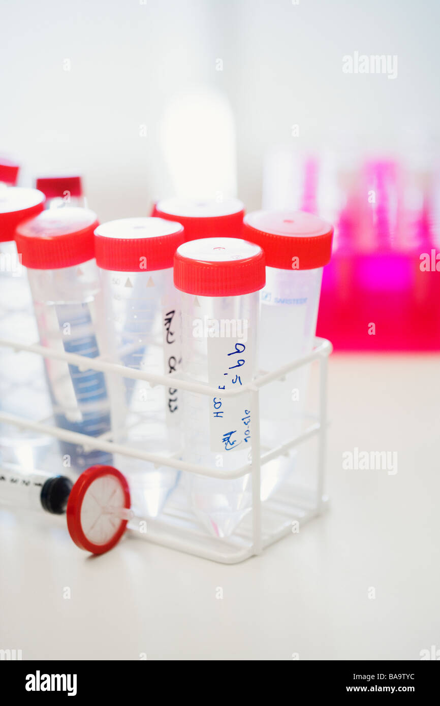 Test tubes in a laboratory Stock Photo - Alamy