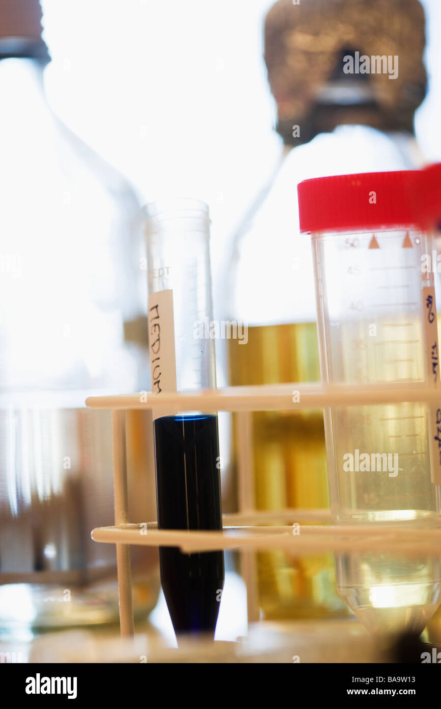 Test tubes in a laboratory Stock Photo - Alamy