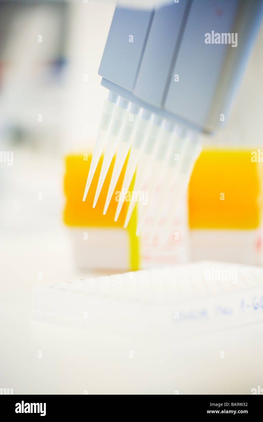 A pipette in a laboratory, close-up Stock Photo - Alamy