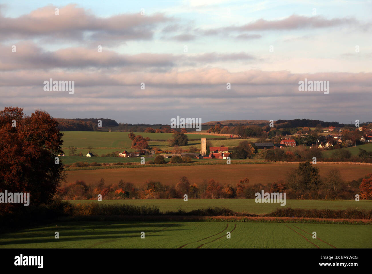 Suffolk landscape autumn hi-res stock photography and images - Alamy